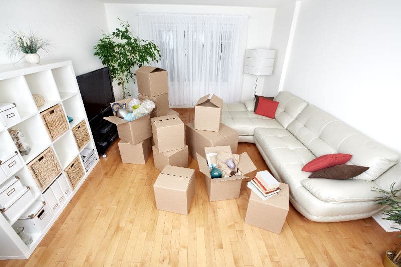 Life Unstuffed. Starting today! ~ By Sarah E Koontz