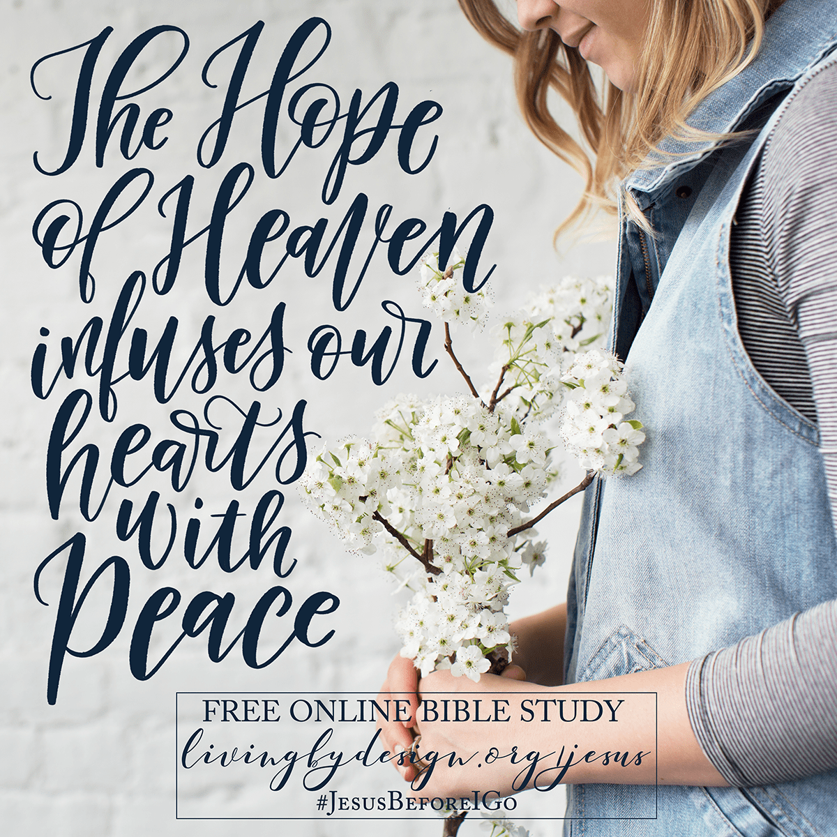 Free Bible Study of Jesus' Final Teaching & Prayer