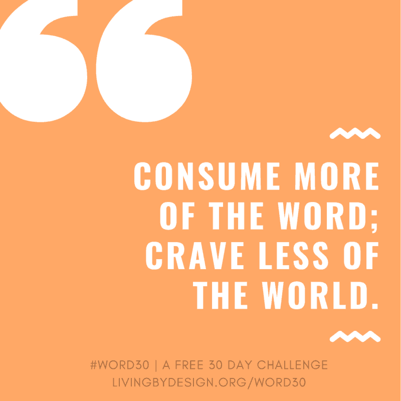 Download Your Free WORD30 Kit Today! | Living by Design Ministries