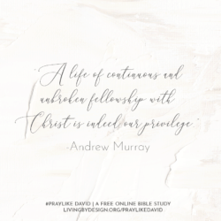 Pray Like David | A Free 6-Week Bible Study with Sarah Koontz