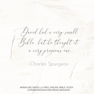 Pray Like David | A Free 6-Week Bible Study with Sarah Koontz