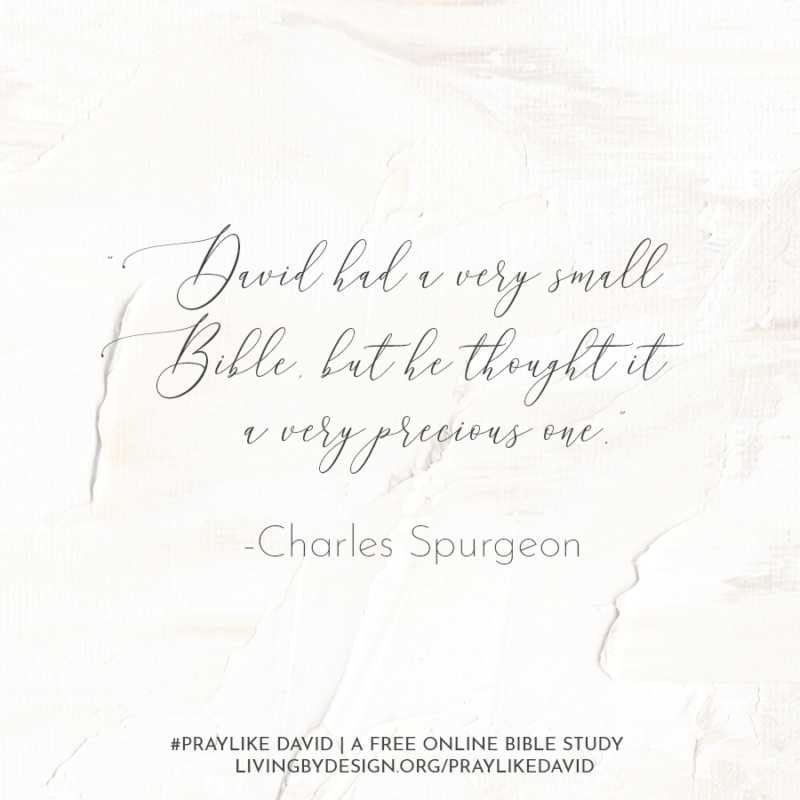 Pray Like David | A Free 6-Week Bible Study with Sarah Koontz