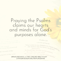Pray Like David | A Free 6-Week Bible Study with Sarah Koontz