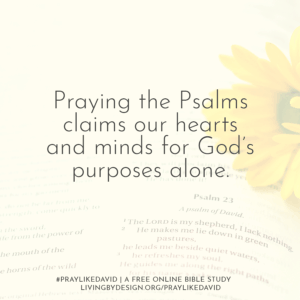 Pray Like David | A Free 6-Week Bible Study with Sarah Koontz