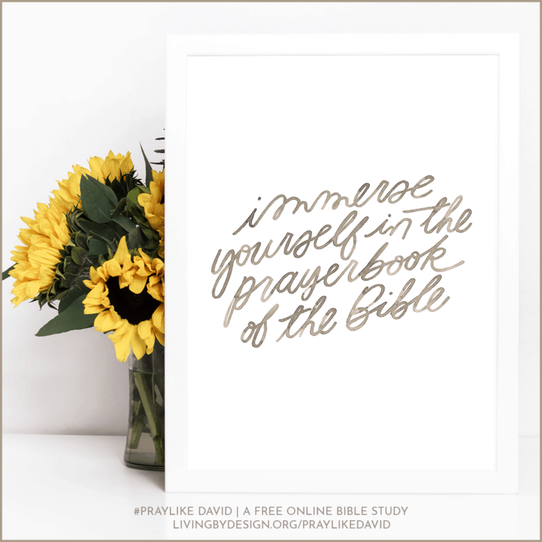 Pray Like David | A Free 6-Week Bible Study with Sarah Koontz