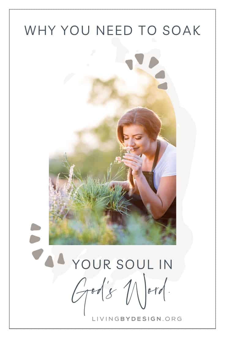 Here's Why You Need to Soak Your Soul in God's Word