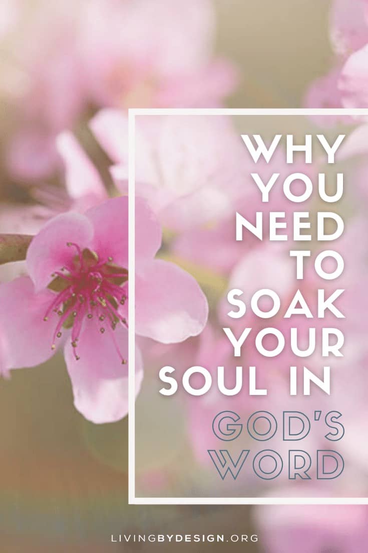 Here's Why You Need to Soak Your Soul in God's Word