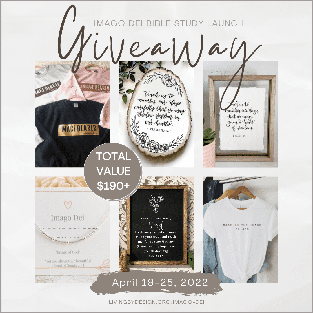 Imago Dei Creative Partners - Living by Design Ministries
