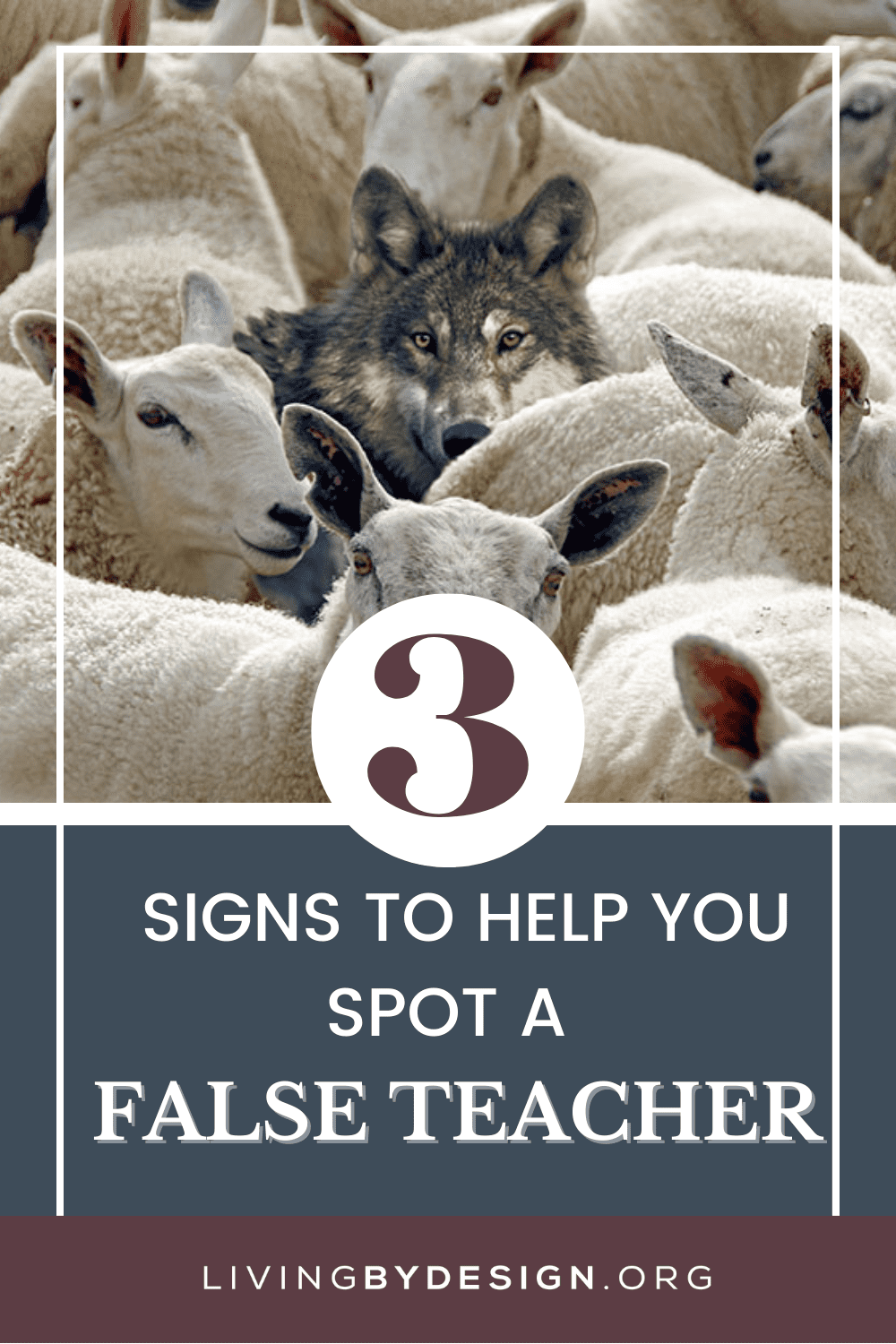 Three Signs to Help You Spot a False Teacher