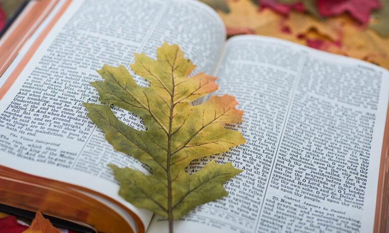 Receiving Rest Through Spiritual Retreat