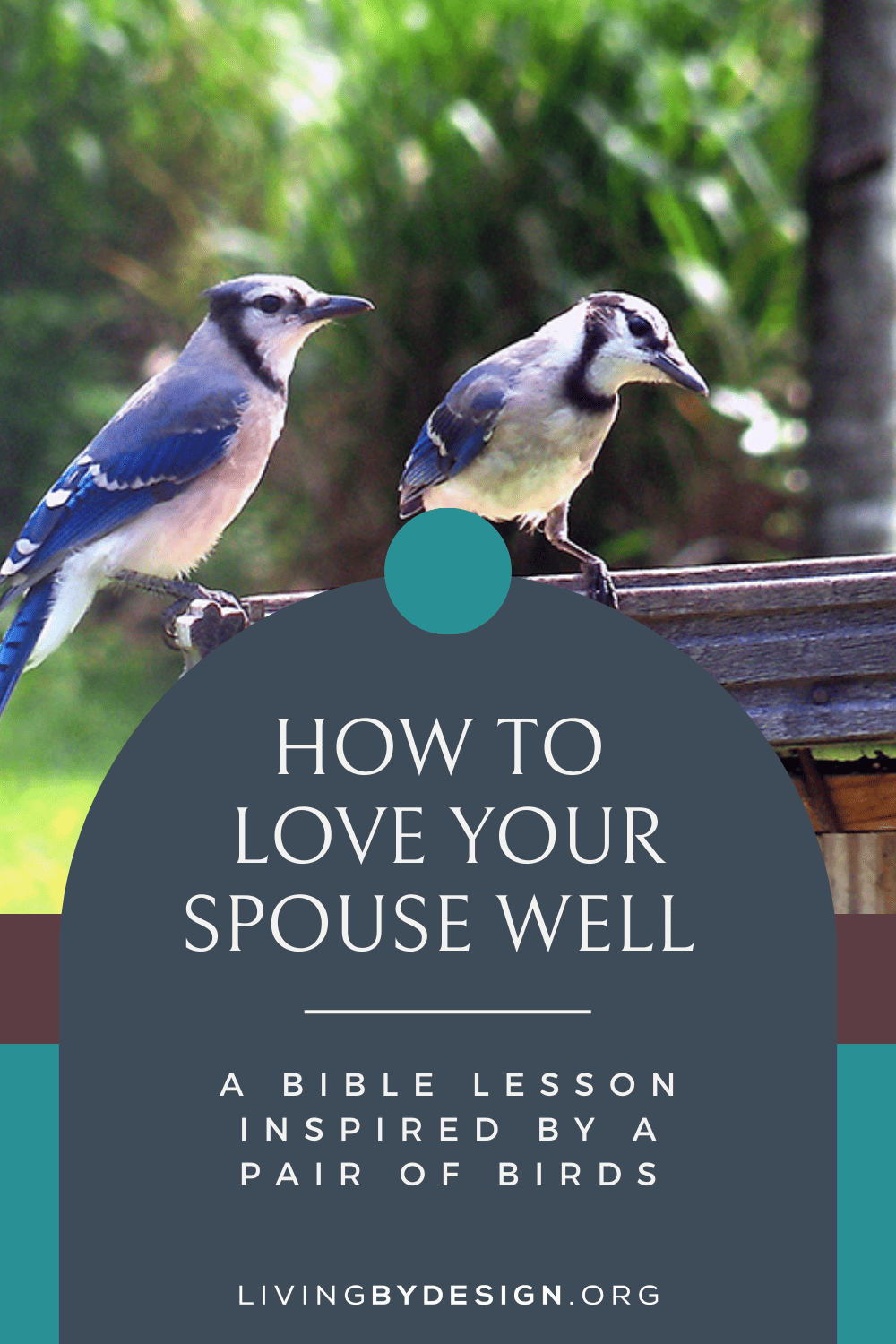 How to Love Your Spouse: Learn From the Birds & the Bible