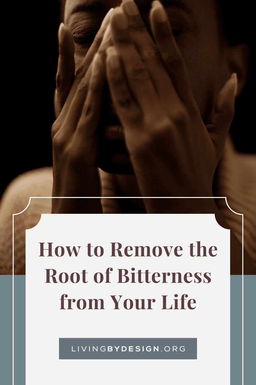 The Root of Bitterness: 5 Steps to Remove it from Your Life