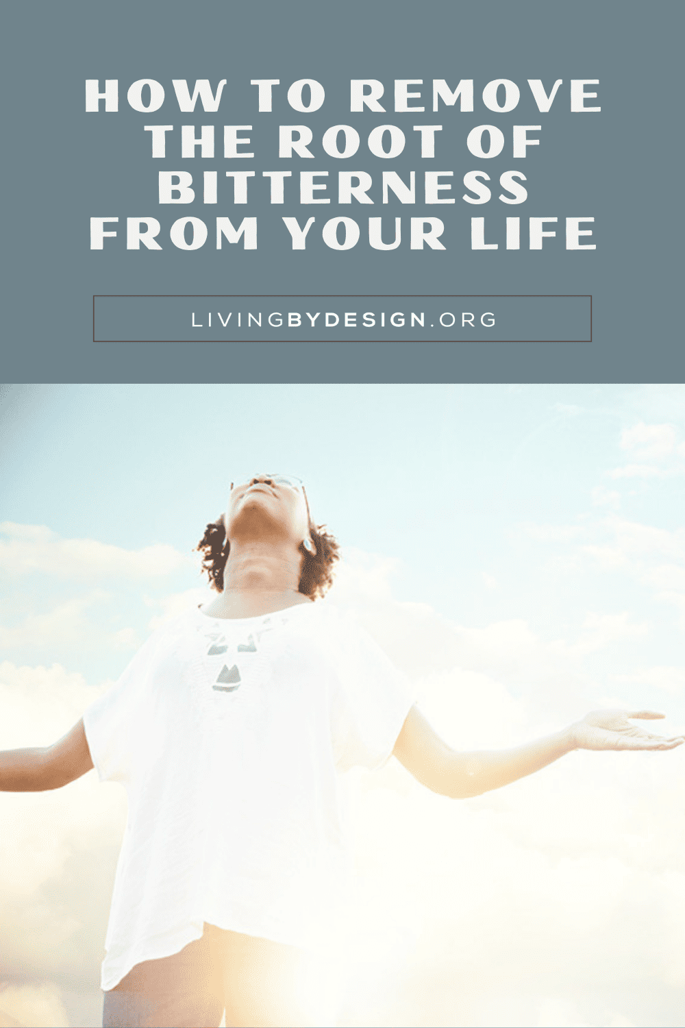 The Root of Bitterness: 5 Steps to Remove it from Your Life