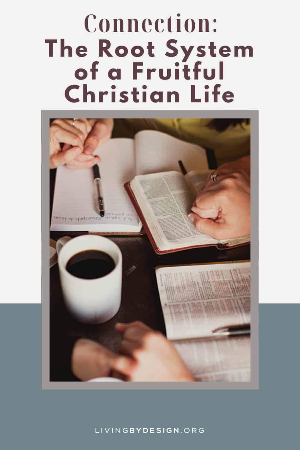 Connection: The Root System for a Fruitful Christian Life